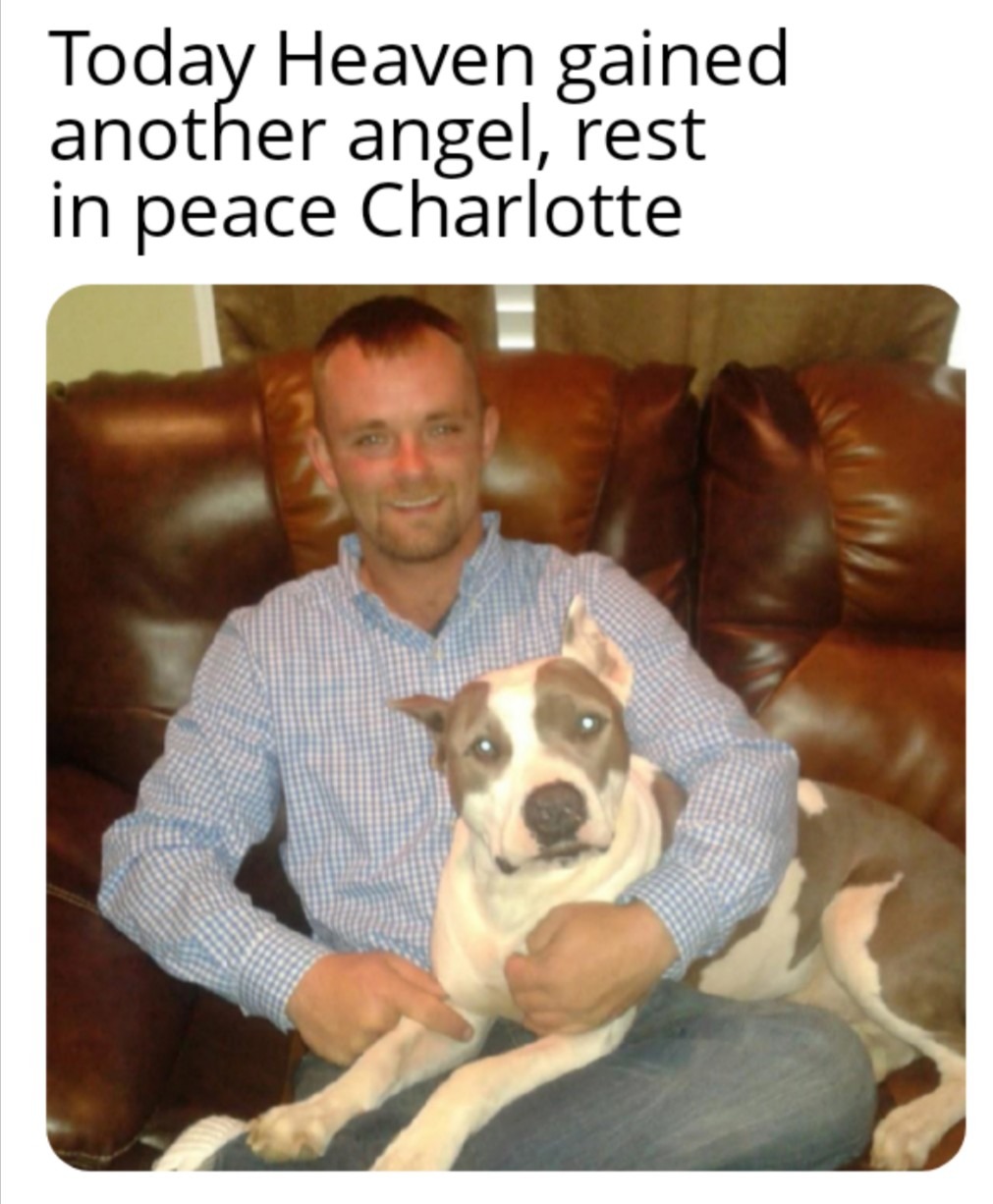 The Latest Memes :) Memedroid