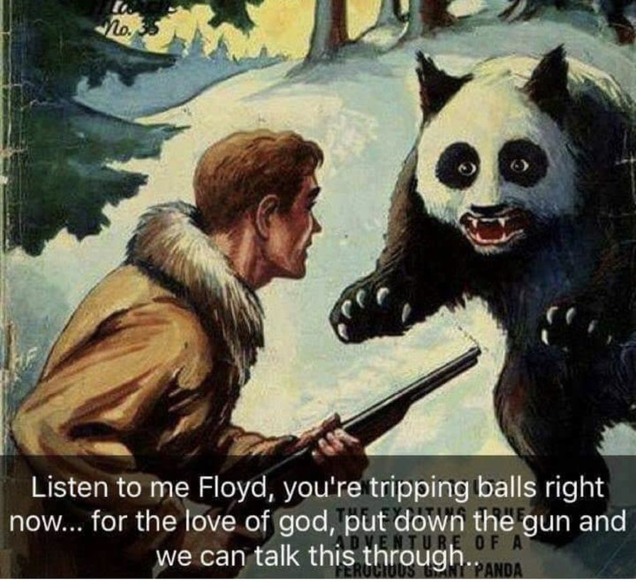 Floyd - Meme by ihutchi1212 :) Memedroid