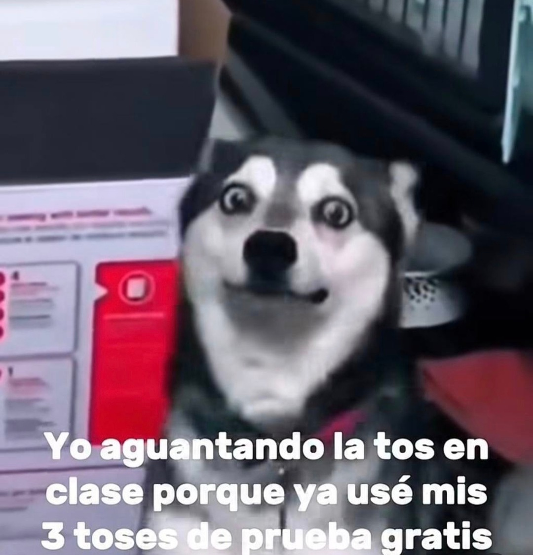 Los mejores memes de noviembre 2025 - El Blog de Memedroid