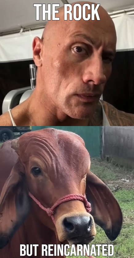 The Rock but reincarnated - Meme subido por tyehoax :) Memedroid