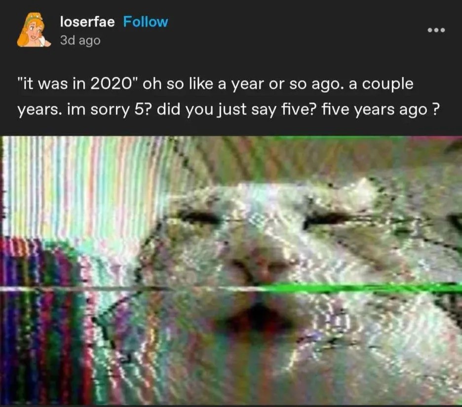 Memedroid - The best site to see, rate and share funny memes and pics!