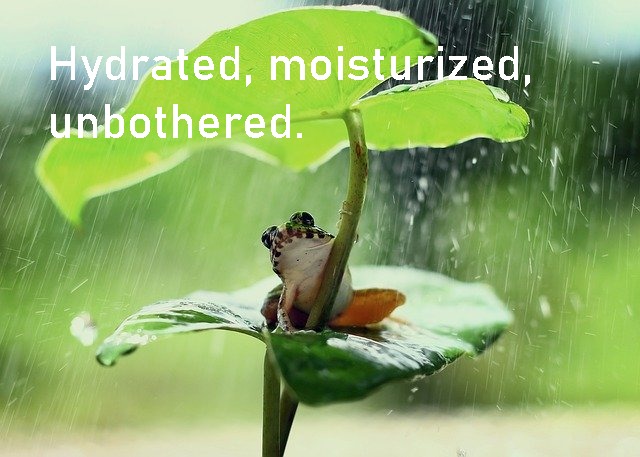 The best Unbothered memes :) Memedroid