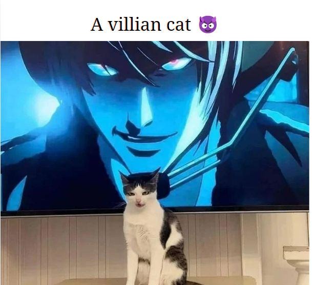 Light Death Note Memes The Best Death Note Memes :) Memedroid