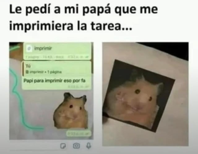 Top memes de Tareas en español :) Memedroid