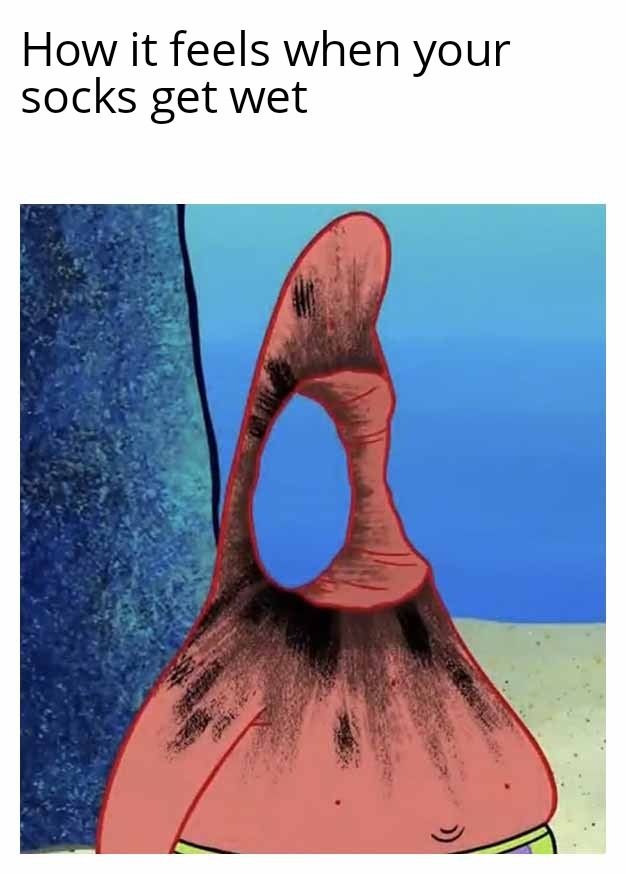 The best Socks memes :) Memedroid