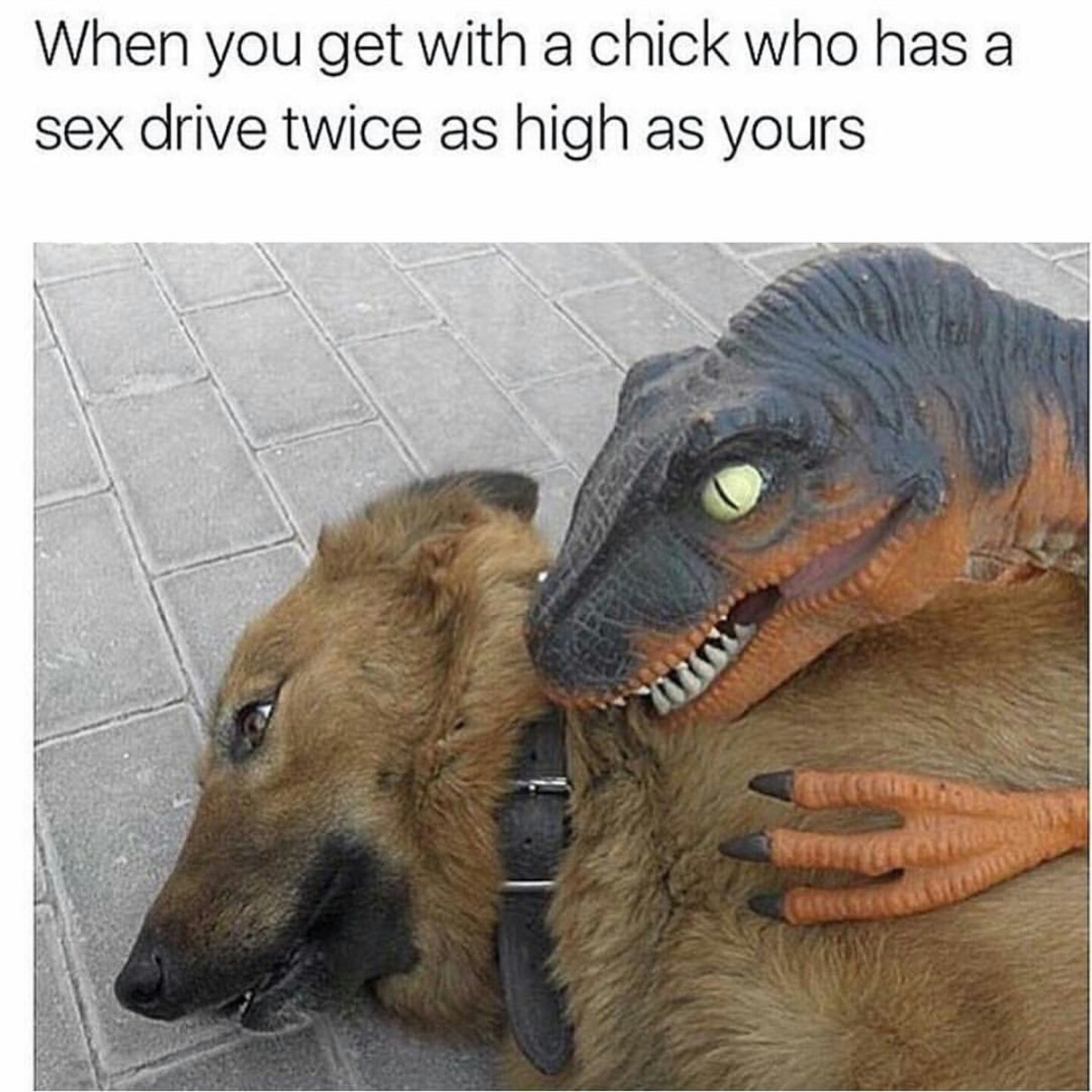 The best Ncnv memes :) Memedroid