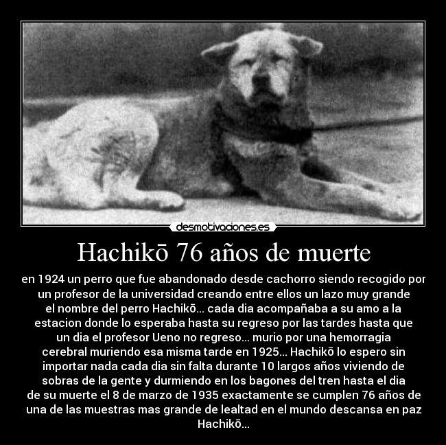 viva hachiko - Meme subido por ana_sofia11 :) Memedroid