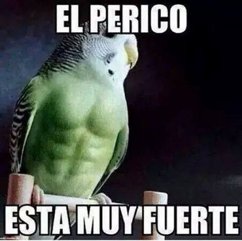 Esta muy fuerte - Meme subido por rac23 :) Memedroid