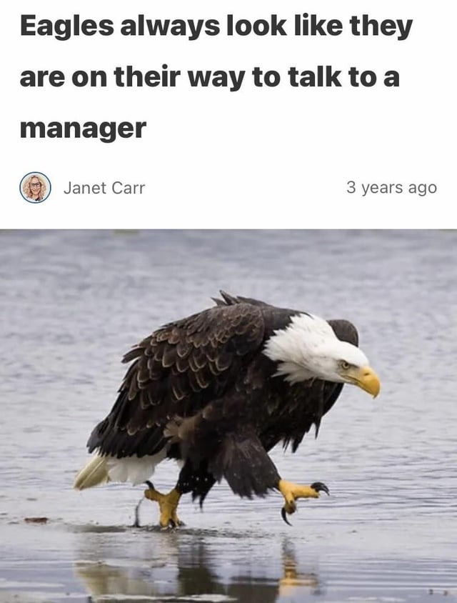 The best Manager memes :) Memedroid