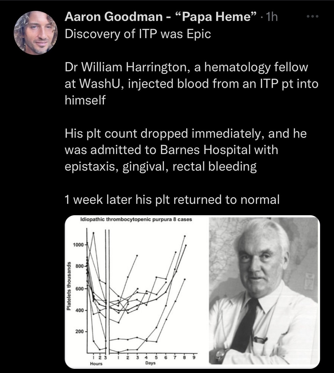 Memedroid - The best site to see, rate and share memes, gifs and funny ...