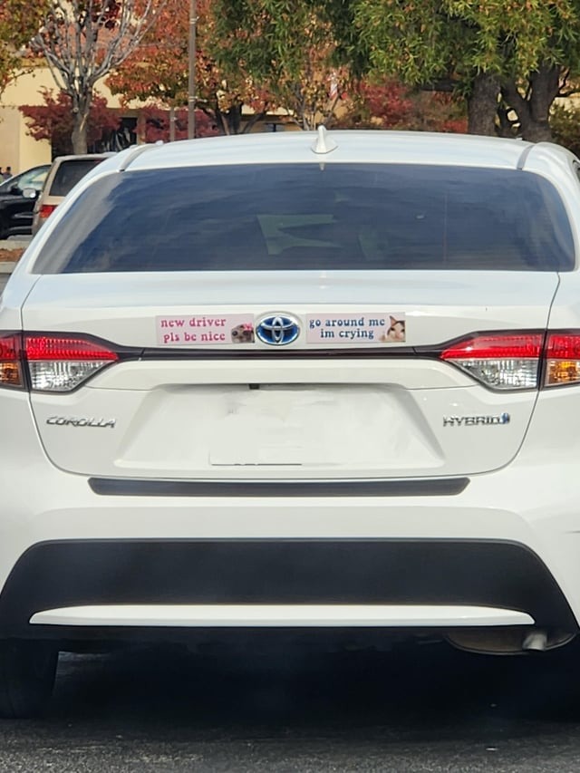 The Latest Memes :) Memedroid