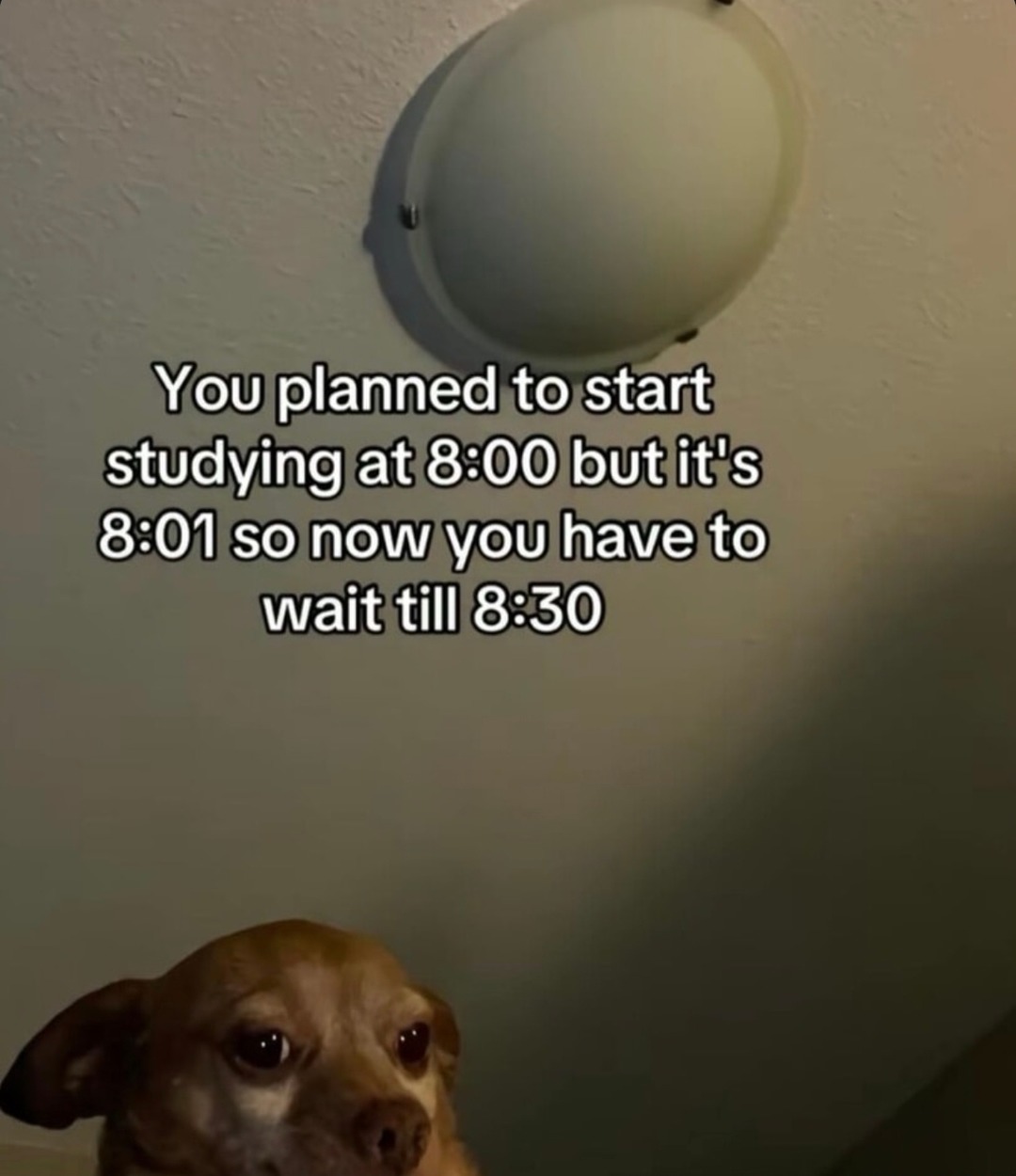 Fakta S Memes Latest Memes / New Memes :) Memedroid