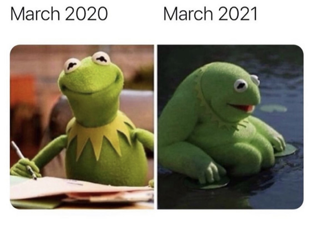 in a nut shell - Meme by Milkmn60 :) Memedroid