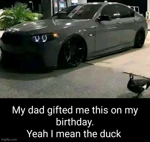 Latest memes / New memes :) Memedroid