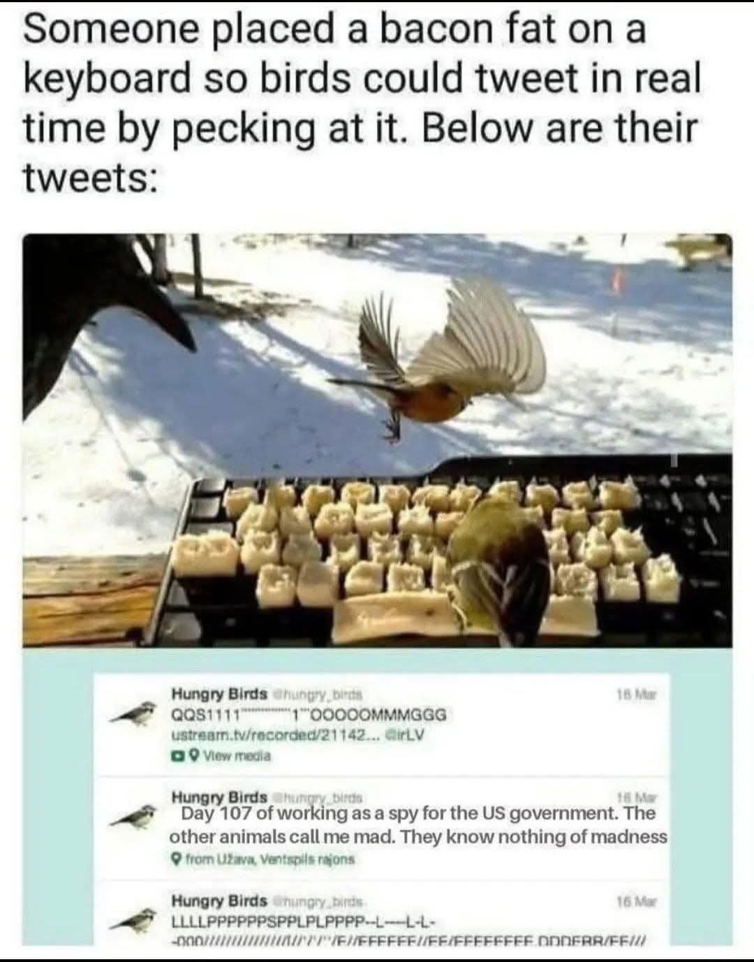 The best Keyboard memes :) Memedroid