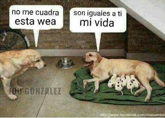 Noc - Meme subido por Elmashosempai :) Memedroid