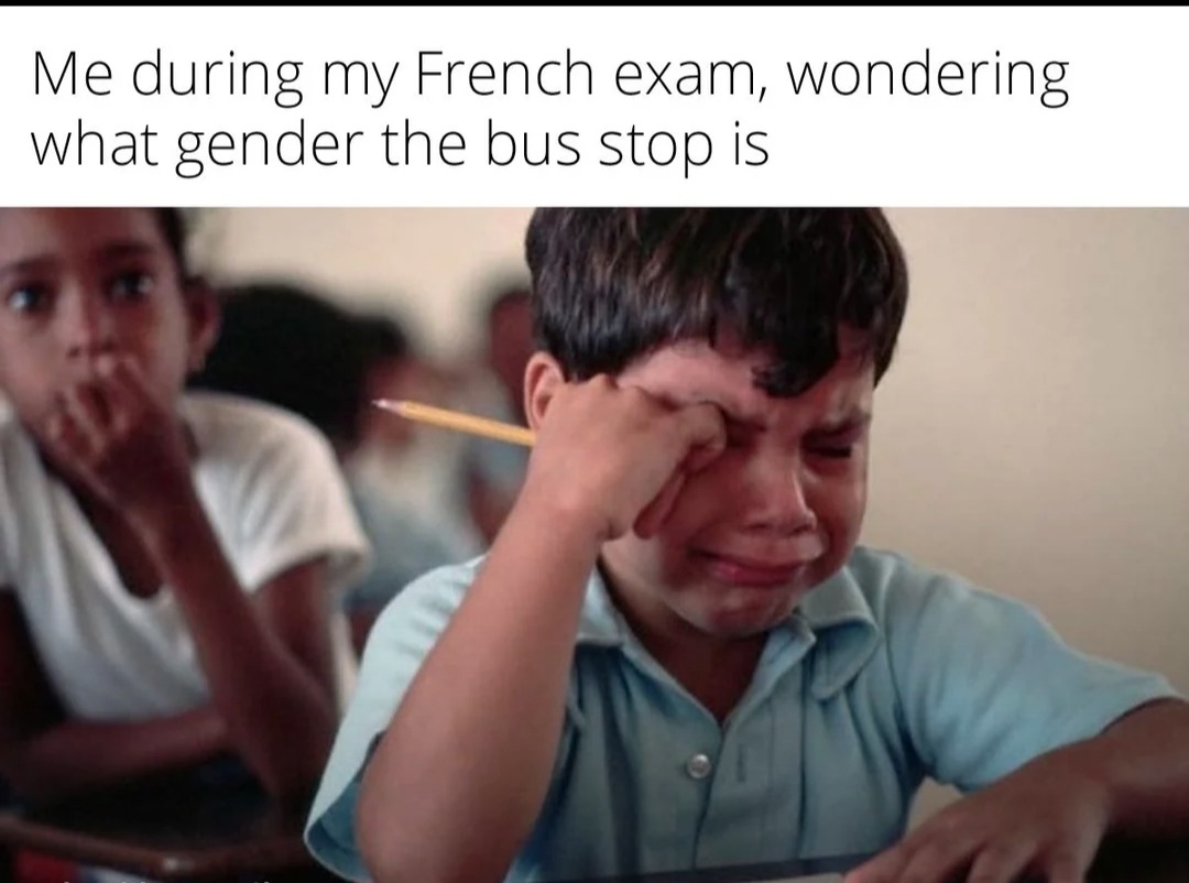 French Classroom Memes French Class Got Boring 9GAG