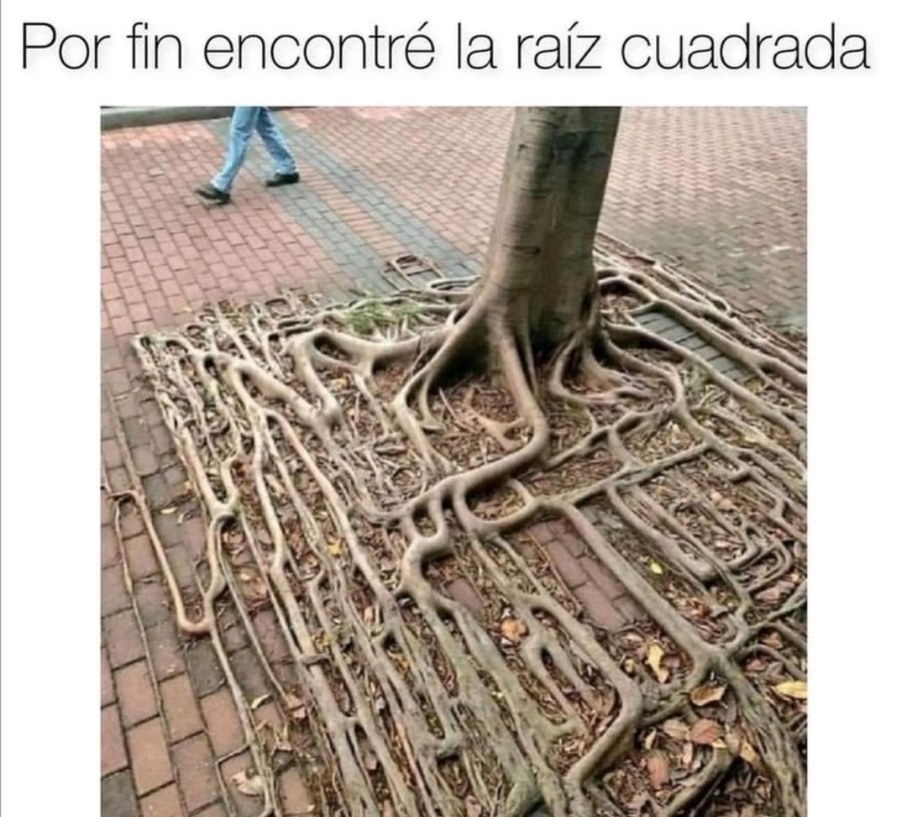 Suuuuu - Meme subido por Alam4321 :) Memedroid