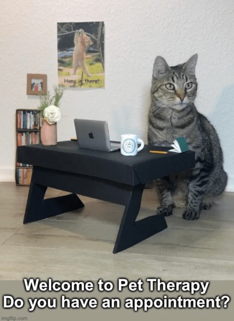 The best Appointment memes :) Memedroid