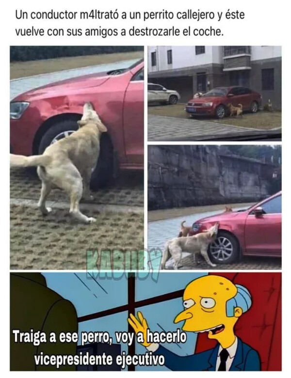 vicepresidente y tesorero - Meme subido por garbo1077 :) Memedroid