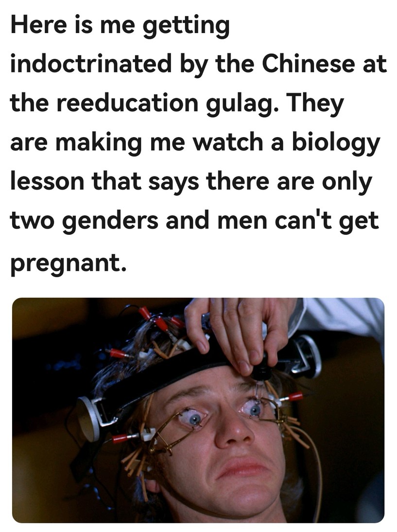 Latest memes / New memes :) Memedroid