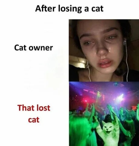 The Latest Memes :) Memedroid