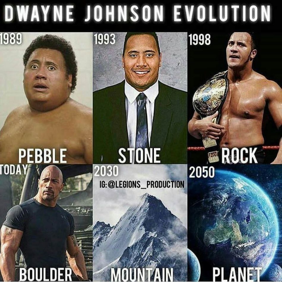 The Evolution Of The Rock