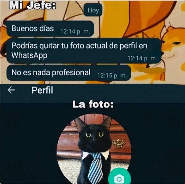 Top memes de Jefe en español :) Memedroid