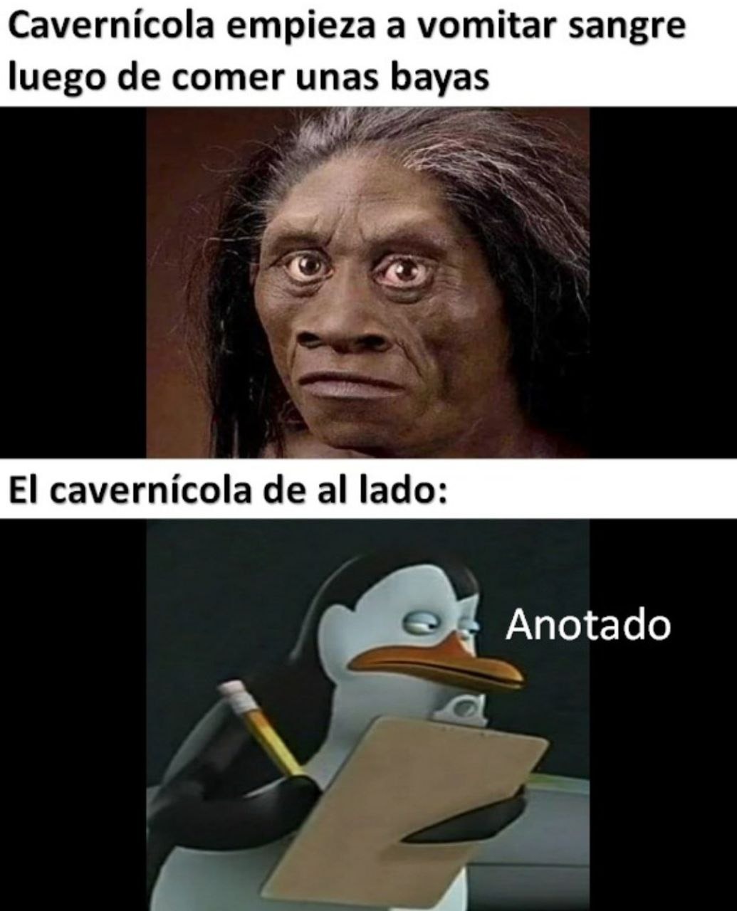Memes Prehistoria ARROBA DE PIEDRA By HCATALAN | Media & Culture