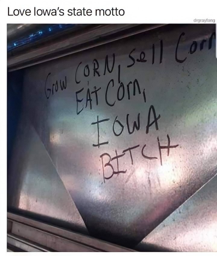 Latest memes / New memes :) Memedroid