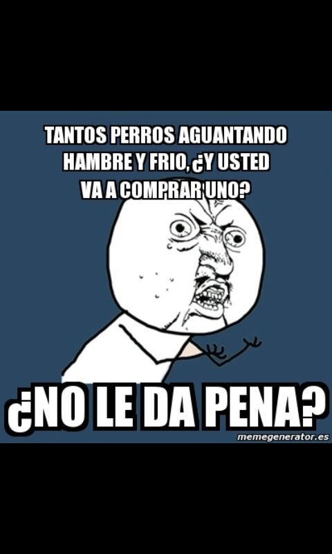 Me dan pena esos perritos de la calle :( - Meme by Cristobal6214 ...