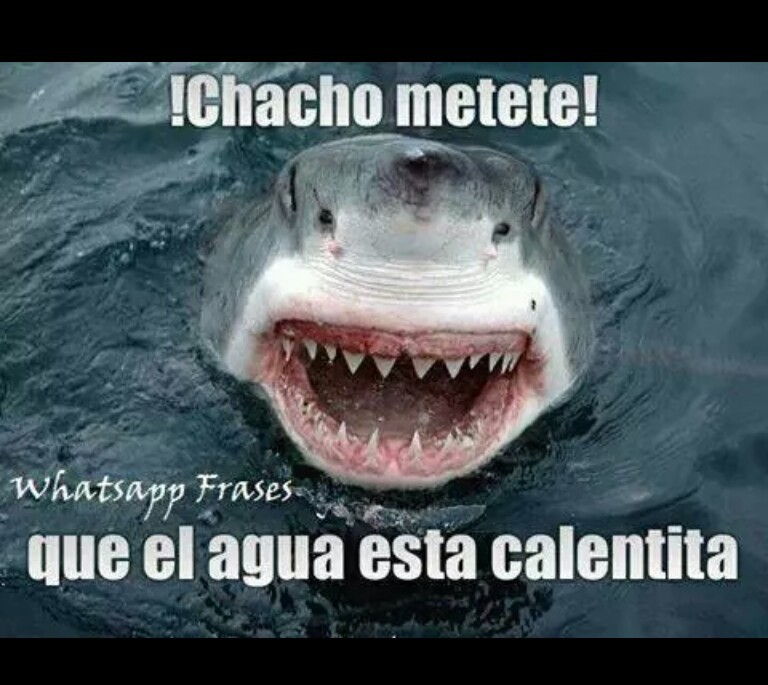 Metete - Meme subido por vrq1977 :) Memedroid