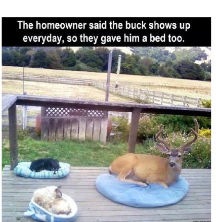 Might as well - Meme by TBIGUY :) Memedroid