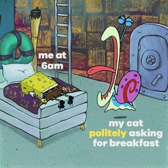 The best Breakfast memes :) Memedroid