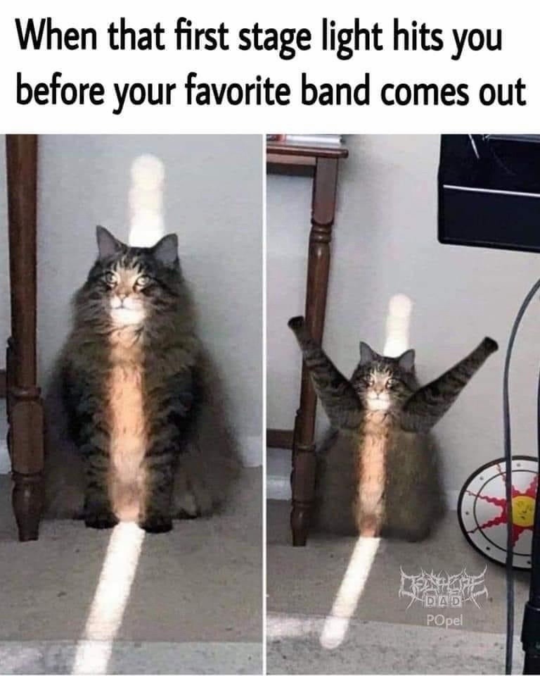 The best Concert memes :) Memedroid