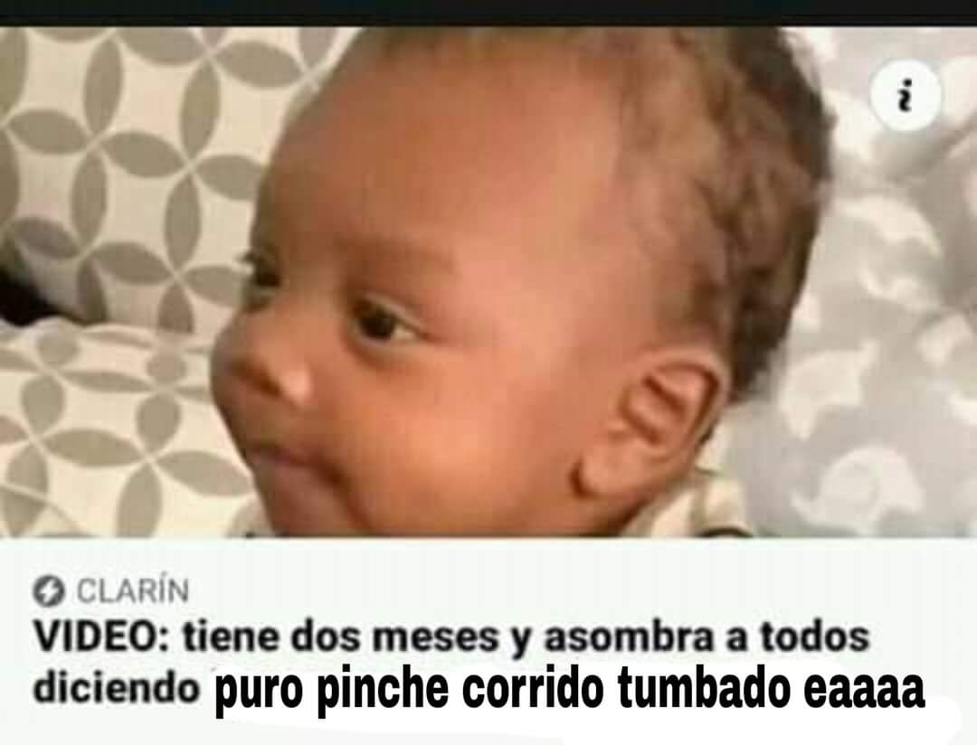 Puro pinche corrido tumbado eaa - Meme subido por Rei_Nazi :) Memedroid