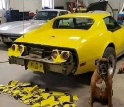 The Latest Memes :) Memedroid