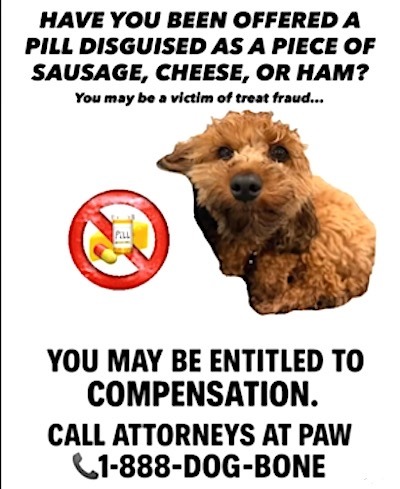 Memedroid - The best site to see, rate and share funny memes and pics!