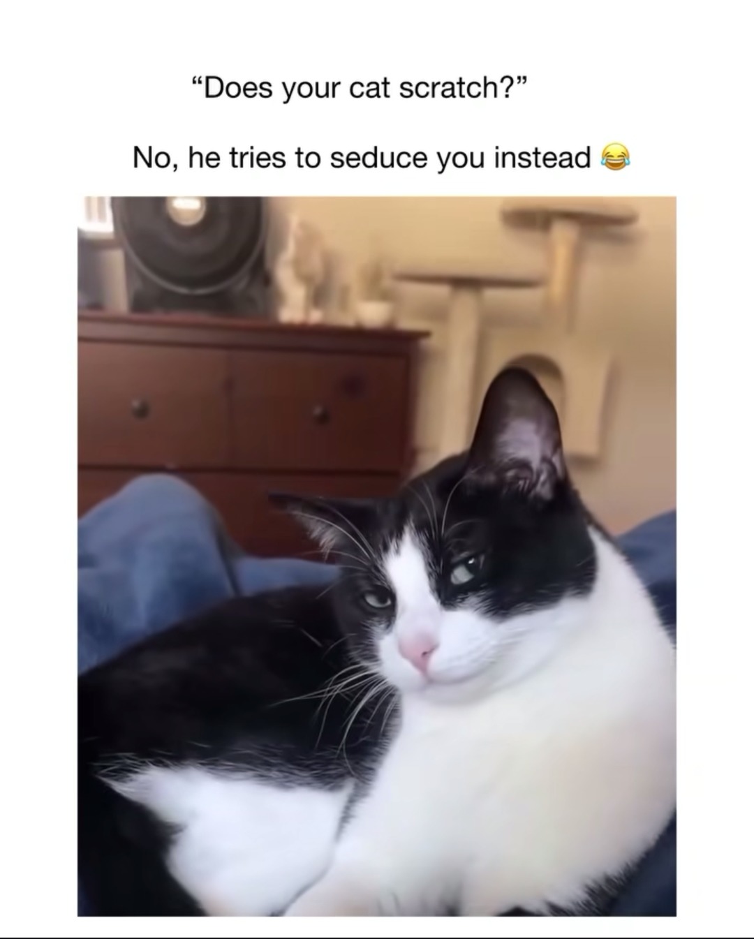 The best Scratch memes :) Memedroid