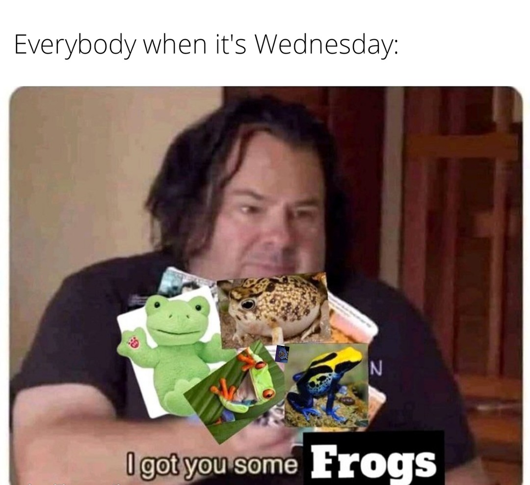 Latest memes / New memes :) Memedroid