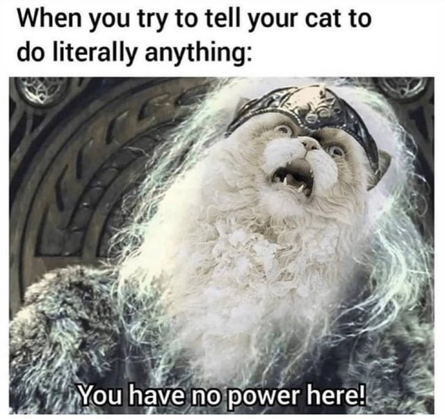The best Power memes :) Memedroid