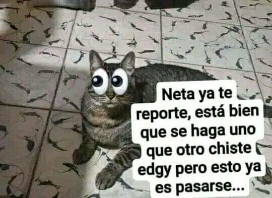 Los Últimos Memes :) Memedroid