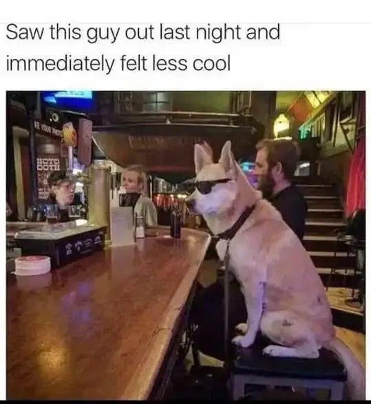 The best Cool memes :) Memedroid
