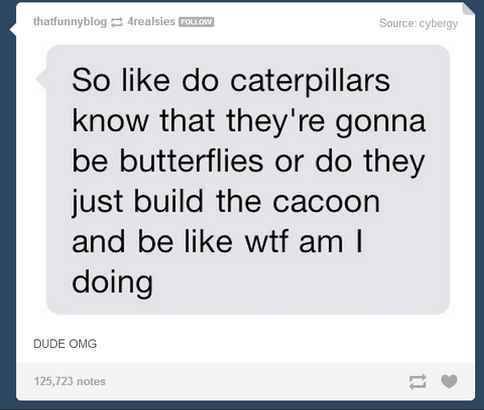 I'm going to be a beautiful butterfly - Meme by sexyandiknowit98 ...