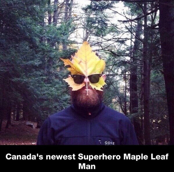 Maple Leaf Man Meme Anyone Know Who This Guy Is? He's Always At The