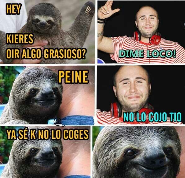 Perezoso pls - Meme subido por FoxDeMonte13 :) Memedroid