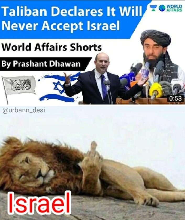 Lamo - Meme by _zakeera :) Memedroid