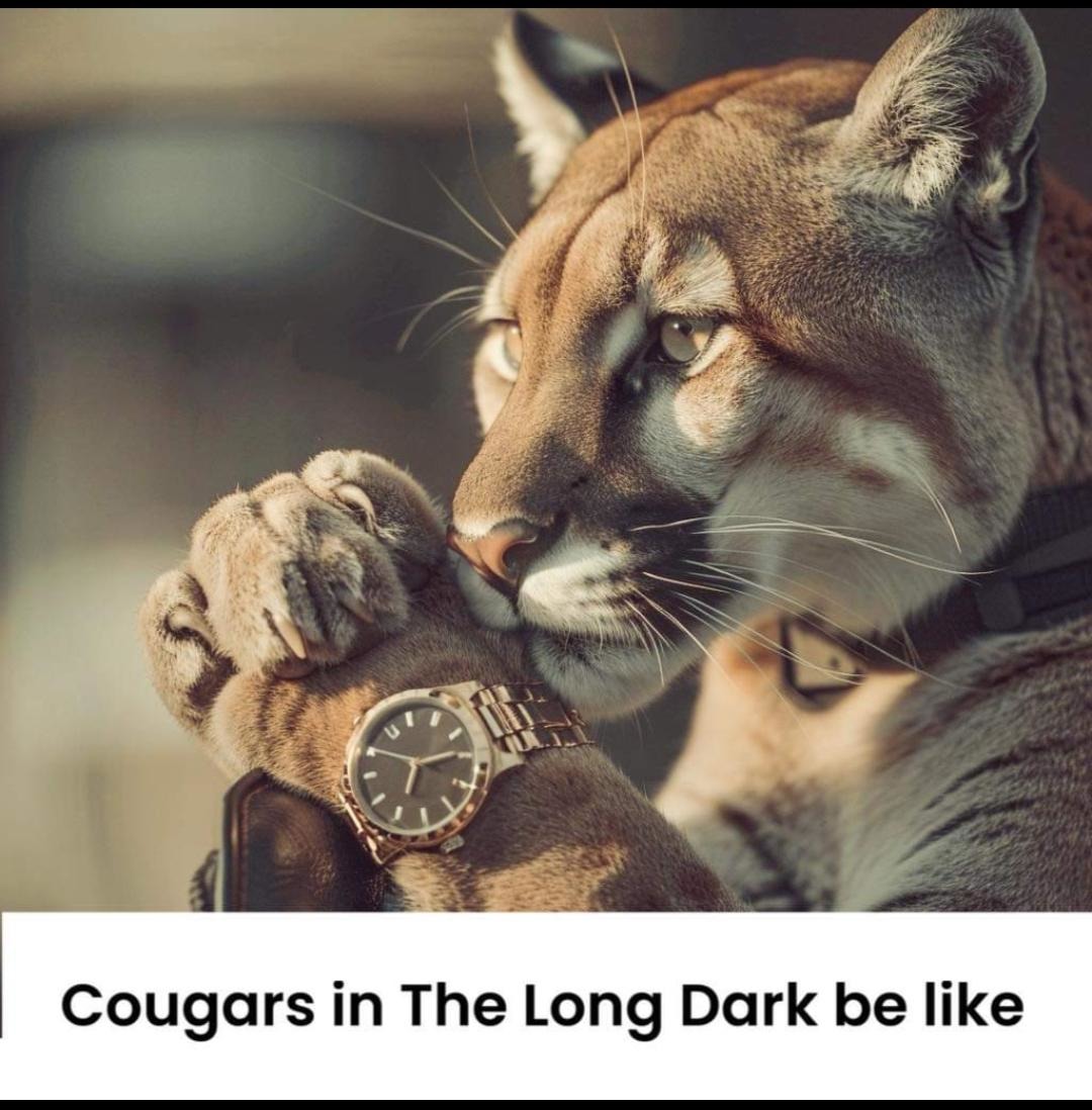 The best Cougar memes :) Memedroid