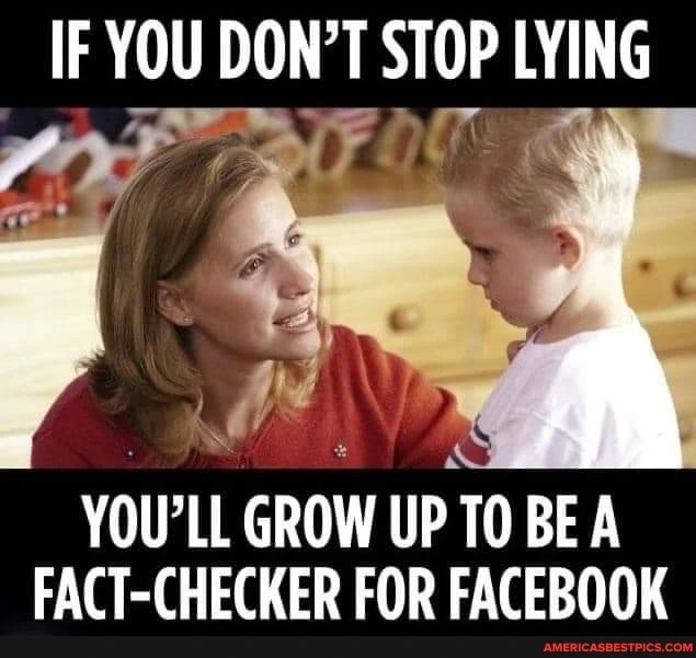 Or Snopes. Or FactCheck.org. Or PolitiFact. Or... - Meme by ...