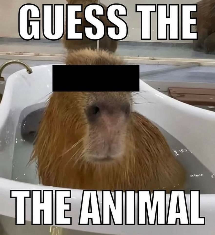 You'll never get it right - Meme by audilover23 :) Memedroid